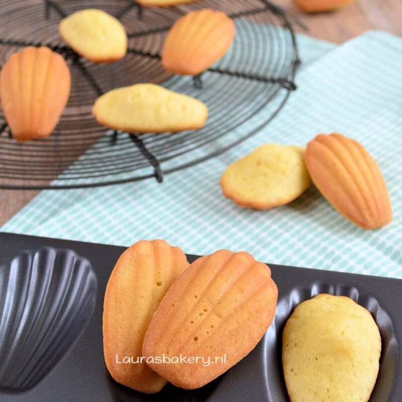Madeleines - Laura's Bakery